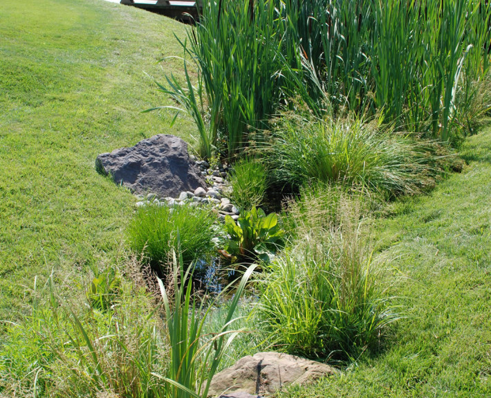 Drainage and Water Management - Landscape Associates Inc.