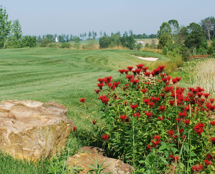 Large and Specialized Planting - Landscape Associates Inc.